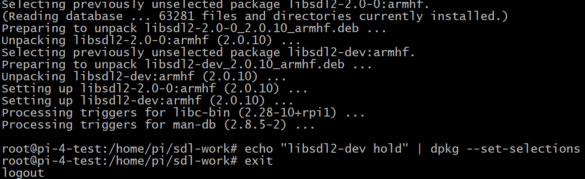 Installing the VICE Commodore Emulator for Console Mode on a fresh ...